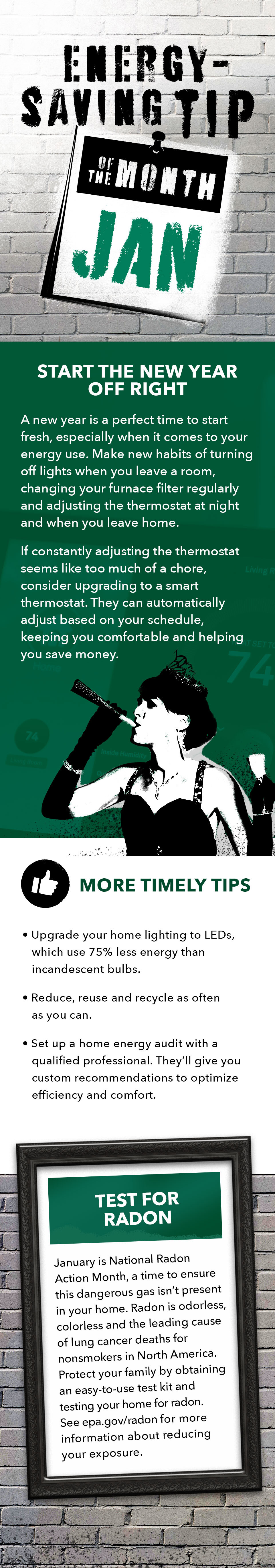 Energy-Saving Tip of the Month: January